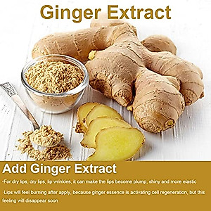 Rosarden Lip Plumper Extreme - Plumping Lip Gloss - Clear Lip Plump Gloss -Lip Enhancer Plumper - Lip Moisturizer for Dry Lips - Lip Filler Plumper - Volumize Lips Instantly for Thicker & Fuller Lips