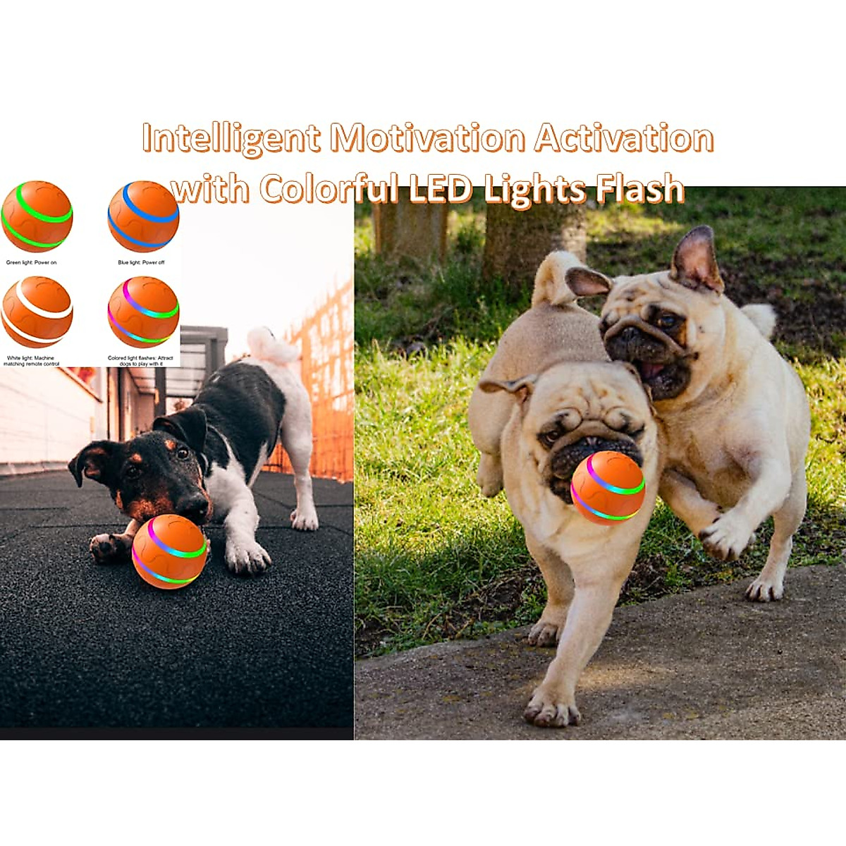 SCOLEA PawDepot Smart Interactive Dog Cat Toy Balls with Remote Control (Orange)