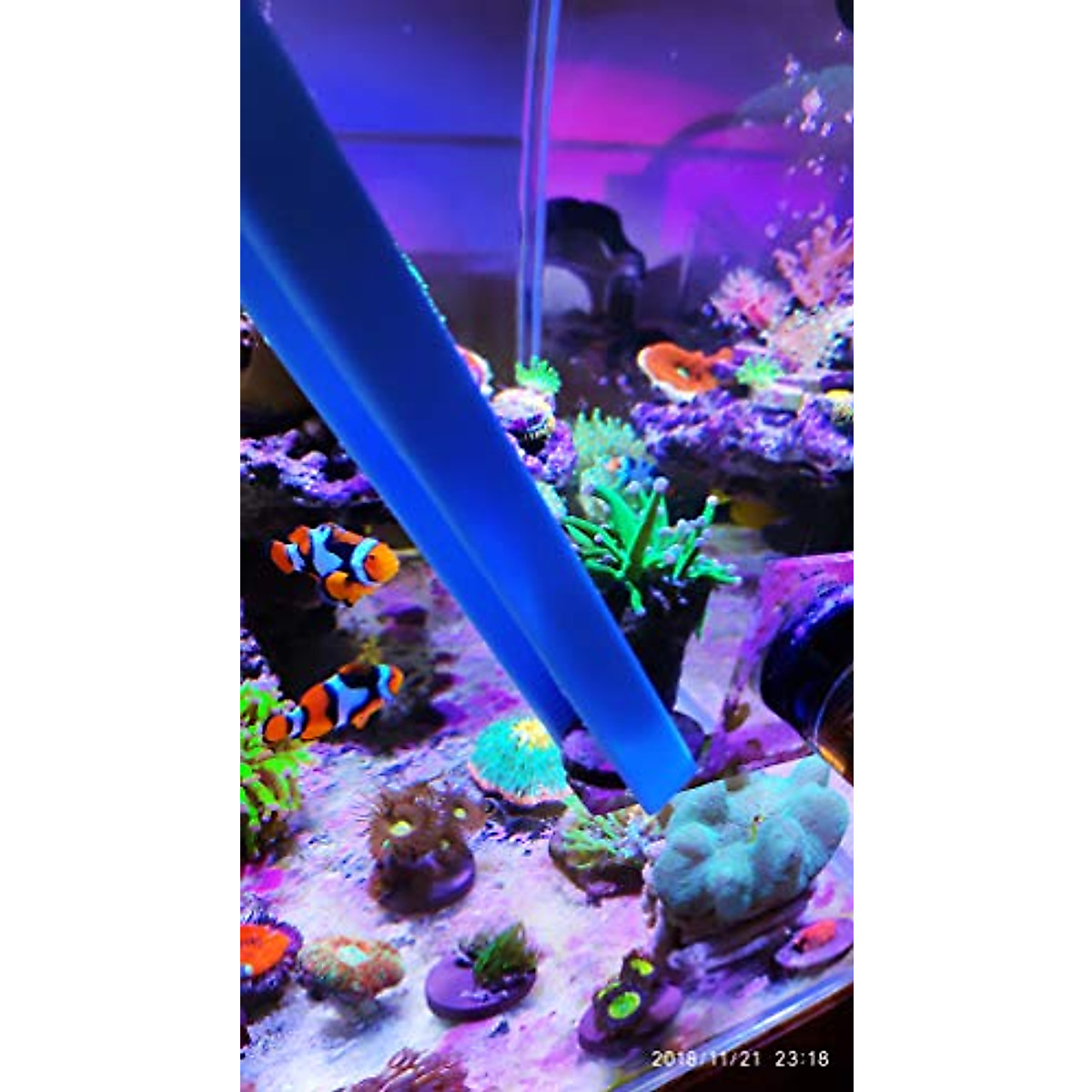 Aquarium Choice Coral Feeder Long Syringe Reef Feeder SPS HPS Marine Reef Coral Feeder Tool Fish Excreta Cleaner (11.8 inch Coral Tweezers Never Rust)
