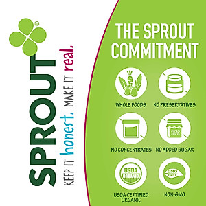 Sprout Organic Toddler Smoothie, Strawberry Banana w/ Yogurt, 4 Ounce Pouch (Pack of 6)