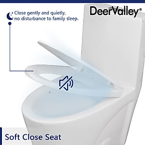 DeerValley Elongated One Piece Toilet with Comfortable Chair Seat Height 17", Dual Power Flush Toilet 1.1/1.6 GPF and 12'' Rough-In Toilet Bowl DV-1F52102