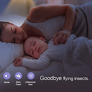 (12-Pack) Fruit Fly Trap Sticky Refillable Glue Boards, 4.13" Fits Most Models Indoor Insect Trap,Gnat Killer,Bug Catcher