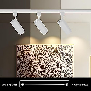 LED Track Lighting Heads Dimmable 24W 5CCT 2700K/3000k/3500k/4000k/5000k,Single Circu H Track Lighting Heads,Zoomable Beam 15° to 60° Ideal for Accent Art and Task Lighting,(3 Pack - White-5CCT)