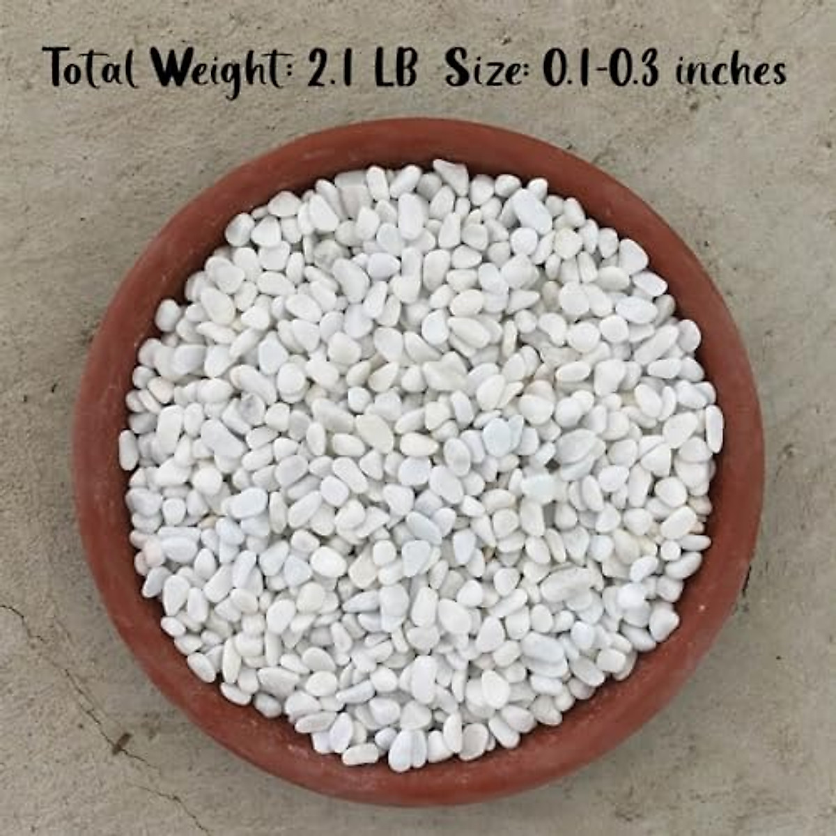 White Rock Pebbles 2.1lb Pumice Potting Soil Amendment - Succulent & Cactus Bonsai Gritty Rock Decorative Gravel Plant Drainage for Top Dressing & Fairy Gardening
