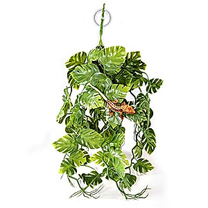 Pangea Hanging Plants Deluxe Decor for Reptile Enclosure Habitat (Green)
