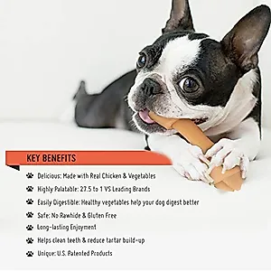 LuvChew Premium Peanut Butter Dog Chew Bones, Rawhide Free, Gluten Free, Made with Limited Ingredients, Delicious, Healthy, Highly Digestible (Mini 18pcs/Pack)