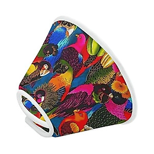 Parrot Party Printed Comfortable Dog Cone Cat Collar Adjustable Prevent from Licking Wounds L