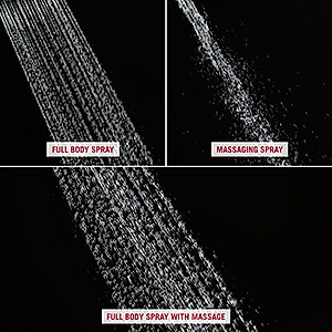 Delta Faucet Peerless 76311D Hand Shower/ Shower Head Combo Pack, Chrome