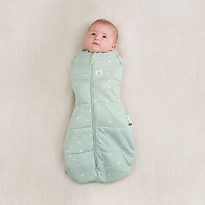 ergoPouch 2.5 Tog Winter Jersey Sleeping Bag – Organic Cotton Baby Sleeping Bag, Made of Soft & Breathable Material for Peaceful Night's Sleep – Baby Wearable Blanket (Sage, 3-12 Months)