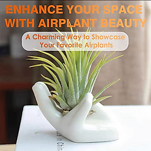 UAIAGM Hand-Shaped Air Plant Holder - Ceramic Mini Stand for Airplants - Decorative White Pot for Live Houseplants - Unique Desk, Table, Shelf Decor