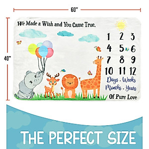 BABYFEFE Baby Monthly Milestone Blanket - Jungle Safari Milestone Blanket, Boy & Girl, Unisex Nursery Decor 60x40 Photography Backdrop