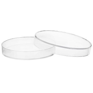 EISCO Plastic Petri Dish with Lid - 6" Diameter, 0.75" Depth - Molded in Polypropylene - Reusable, Autoclavable - Translucent
