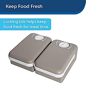 PetSafe Automatic 2 Meal Pet Feeder with Battery Powered Programmable Timer, 3 Cups Total Capacity, Cat and Small to Medium Dog Food Dispenser