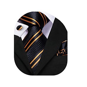 Dubulle Mens Paisely Floral Silk Tie for Men Striped Necktie and Pocket Square Set Wedding Business,Black