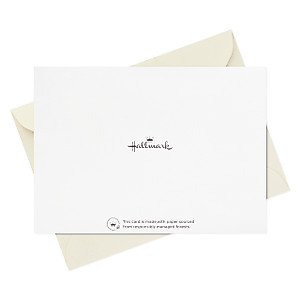 Hallmark Thank you Cards Assortment, Gold Foil Solids (24 Thank You Notes with Envelopes)