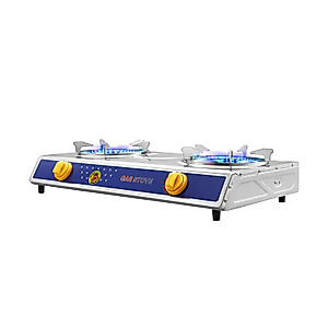 Vivicreate Camping 20000 BTU 2 burner stainless steel panel auto ignition Propane Gas Outdoor Garden Fishing Hiking Camp Restaurant Stove Burner