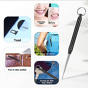 CHENGU 5 Pieces Portable Titanium Toothpicks Metal Pocket Toothpick with Protective Holder Stainless Steel Toothpick Reusable Toothpicks for Picnic Camping Traveling (Black)