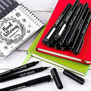 Dyvicl Hand Lettering Pens, Calligraphy Brush Pens Art Markers for Beginners Writing, Sketching, Art Drawing, Illustration, Scrapbooking, Journaling, Black Ink Pen Set, 12 Size