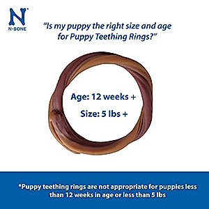 N-Bone Puppy Teething Ring Pumpkin Flavor 7.2 Oz/(6 Count)