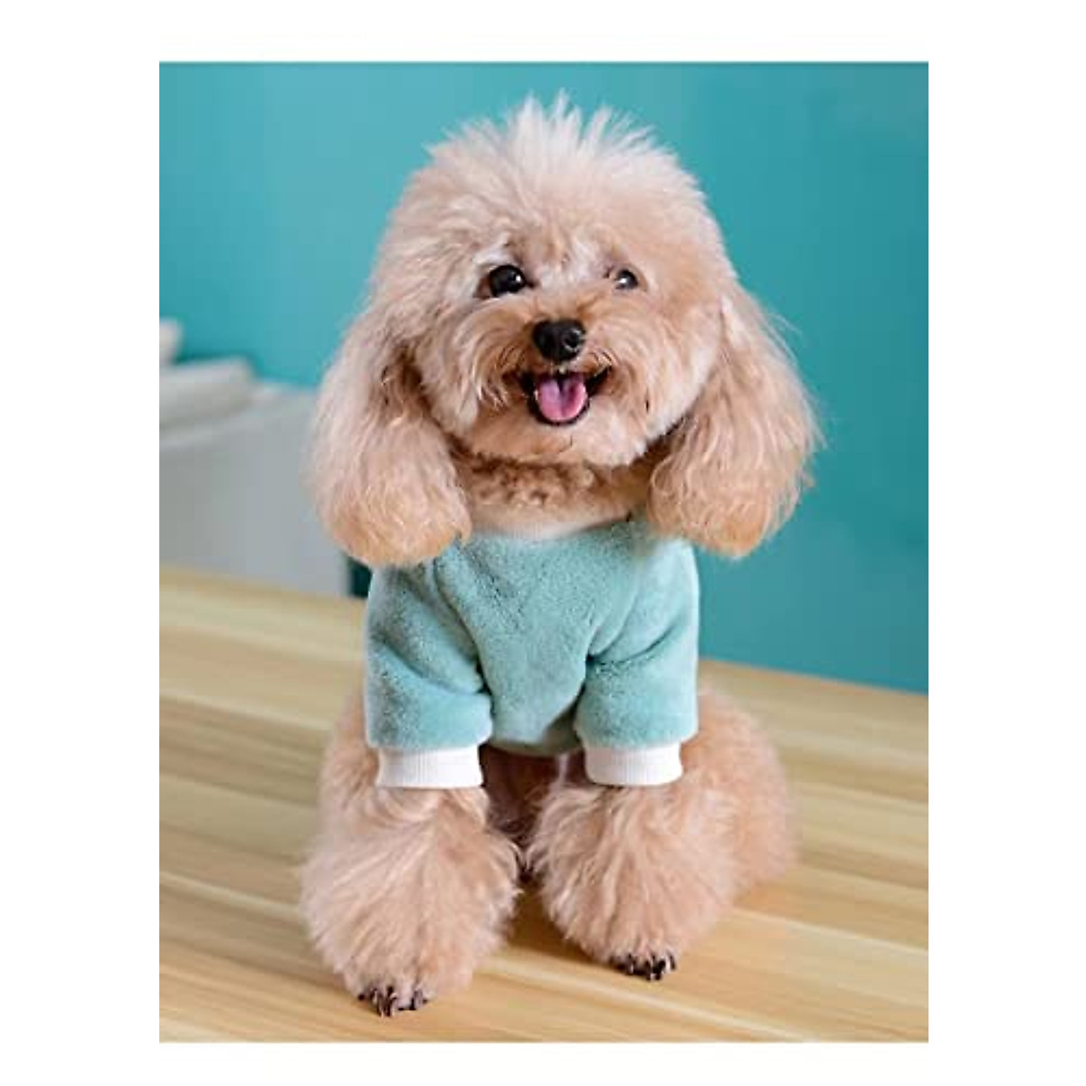 Dog Clothes, Pet Clothes, Soft Thickened Warm Puppy Clothes, Suitable for Autumn and Winter, Suitable for Small Dogs and Cats, Blue (Medium)