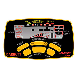 Garrett ACE 250 with Water-Proof Searchcoil and Headphones