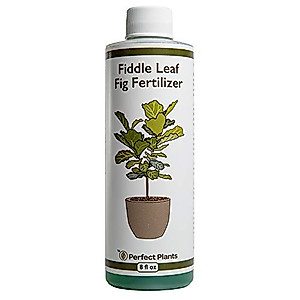 Perfect Plants Liquid Fiddle Leaf Fig Fertilizer | 8oz. of Premium Concentrated Indoor Ficus Food | Get Big Leaves and Healthy Plants