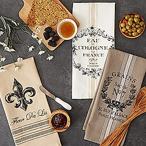 DII French Style Tabletop Kitchen Collection, Dishtowel Set, 18x28, Assorted French Grain, 3 Piece