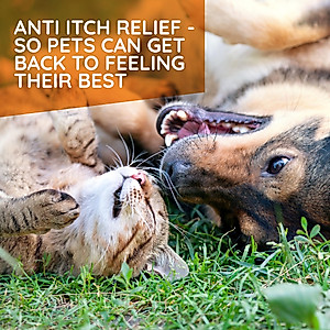 T-Relief Pet Allergy Support for Dogs & Cats Itchy Relief Supports Healthy Skin & Coat Natural Medicine Helps Soothe Hot Spot Itching Paws Licking Runny Nose Sneezing Watery Eyes - 90 Tablets