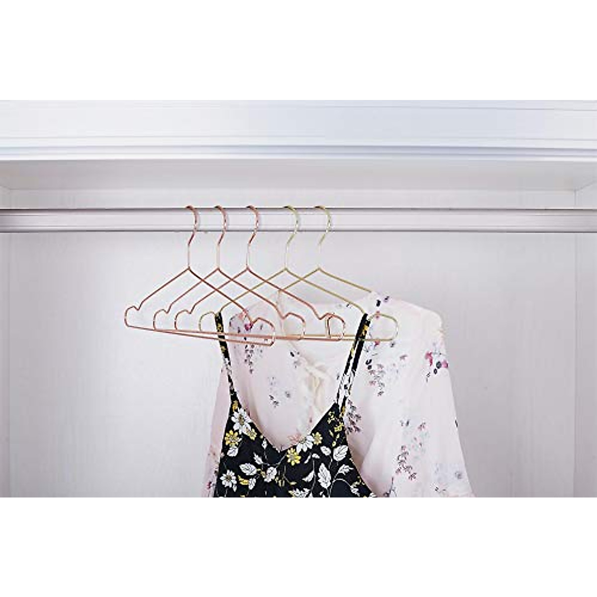 Weixuan Jinse Adult 17.7H