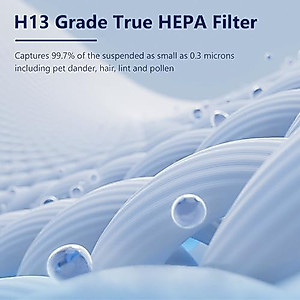 Funmit Core P350 Pet Care Replacement Filter for LEVOIT Core P350 Air Purifier, 3-in-1 New Fine Non-Woven Fabric Pre, H13 True HEPA, Activated Carbon Filter with ARC Formula, Core P350-RF, 2 Pack