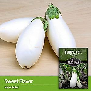 Survival Garden Seeds - Snowy Eggplant Seed for Planting - Packet with Instructions to Plant and Grow White Eggplant (Aubergine) in Your Home Vegetable Garden - Non-GMO Heirloom Variety
