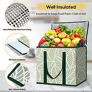 BALEINE 2Pk Insulated Reusable Grocery Bags, Collapsible Cooler Bag for Groceries, Heavy Duty Large Insulated Bag (16''x9''x13'', Antique Foliage)