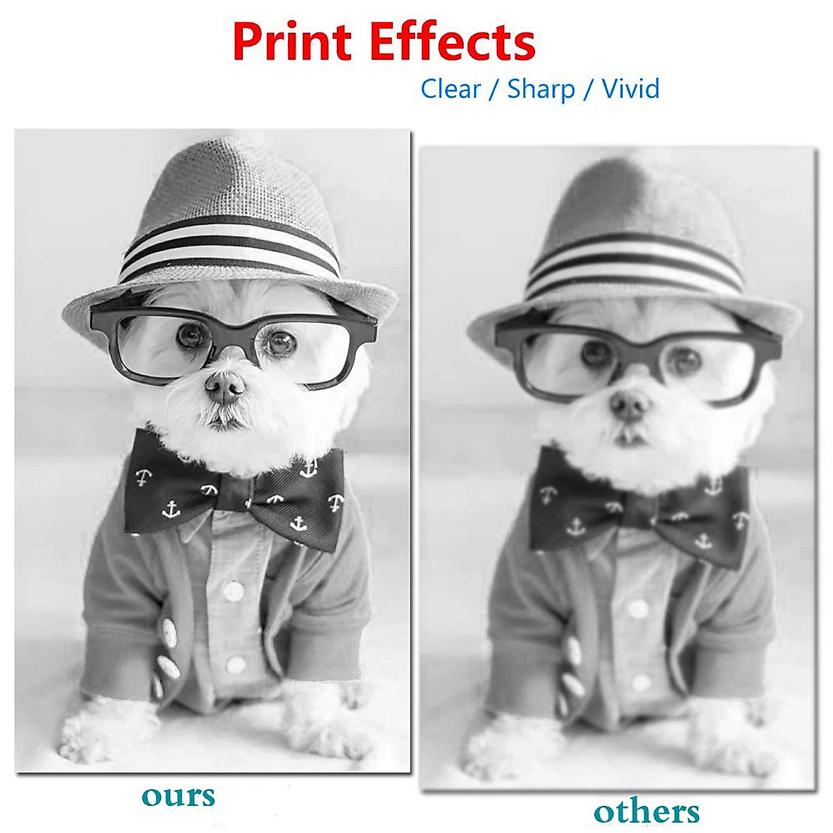 2-Pack TN221BK TN-221 Black Toner Cartridge Replacement for Brother TN221 TN-221BK MFC-9130CW HL-3170CDW HL-3140CW MFC-9330CDW Printer