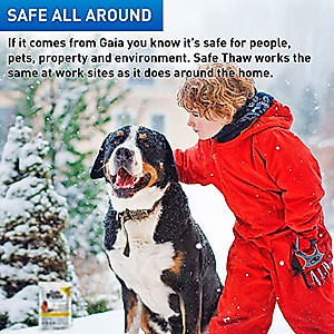 Safe Thaw Industrial Strength 100% Salt/Chloride-Free, Pet/Paw-Safe Snow & Ice Melter and Traction Agent. Use on Concrete, Asphalt, Roofs & On Any Surface, 30 Pound FlexiPail