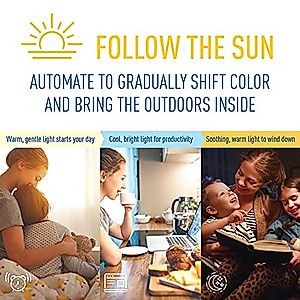 Cree Connected Max Smart Led Vintage Glass Filament Bulb G25 Globe 40W Tunable White, 2.4 Ghz, Works With Alexa And Google Home, No Hub Required, Bluetooth + Wifi, 1Pk, Clear, Cmg25-40W-Al-9Tw-Gl