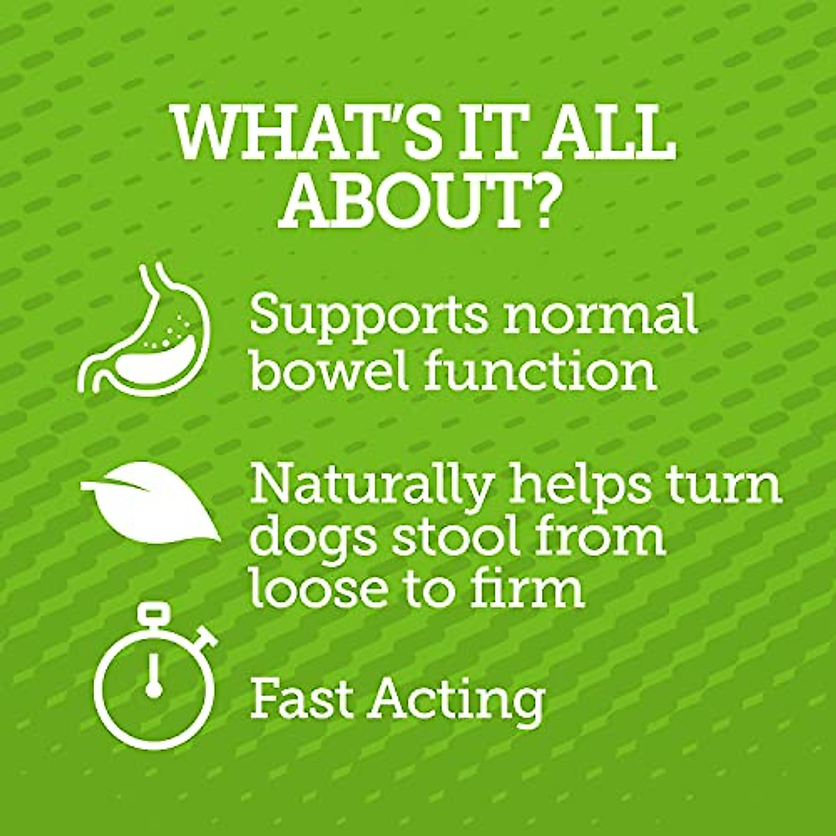 Stop The Runs | Anti Diarrhea Chewables | 6 Count