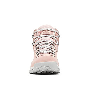 Columbia Women's Newton Ridge Plus Waterproof Amped, Vintage Pink/Nimbus Grey, 10