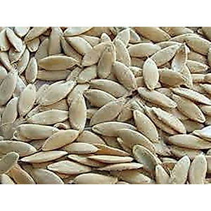 Cucumber, Long Green Improved Seeds, Non-GMO, 75 Seeds per Package,Long Green Improved Cucumber is a Strong, Vigorous Producer Jacobs Ladder Ent.
