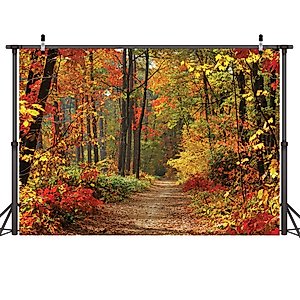 LYWYGG Autumn Scenery Deciduous Background 7x5ft Vinyl Deciduous Mountain Road Photography Backdrop Tree and Yellow Fall Leaves View Background Studio Props CP-67