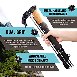 TREKOLOGY 2 pc Trekking Hiking Poles / 6 pc Replacement Rubber Tips-Collapsible Trekking Poles Nordic Hiking Pole Cork Grip. Lightweight Aluminum 7075,Adjustable Quick Flip-Lock, Folding Walking Stick