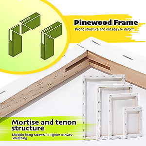 12 Pack Stretched Canvases for Painting with 11x14, 9 x12, 8x10, 5x7(3 of Each), Blank Primed Canvas for Oil, Acrylic & Others, Multi Size Set for Artist, Student and Beginners