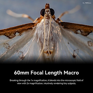 Brightin Star 60mm F2.8 2X Macro Magnification Manual Focus Mirrorless Camera Lens, Fit for Panasonic LUMIX Olympus Micro4/3 G7, G85, GX9, G7KS, EPM1/2, EM1, E-P1/P2/P3/P5, PL 1/2/3/5/6, G2/3/5/6