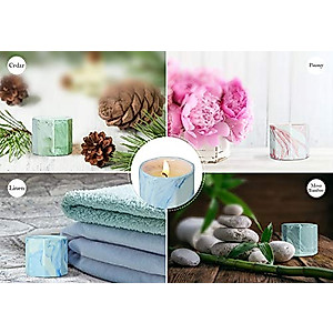 Scented Candles Set, Candles for Home Scented 4x2.0 oz/STRN Reed Diffuser Valentines Day, Home Fragrance Products Ocean Breeze/ 3.4oz/ 100ml