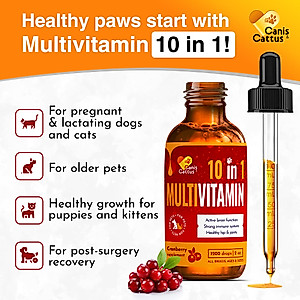 Cat Glucosamine | Dog Joint Supplement Liquid | Cat Vitamin | Dog Vitamin | Glucosamine for Cats and Dogs | Cats and Dog Vitamins and Supplements | Bundle