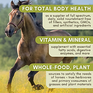 Wholistic Pet Organics Equine Complete: Horse Multivitamin for Total Body Health - Horse Supplement with Vitamins, Minerals, Prebiotics, Probiotics, Antioxidants and More - 4 Lb