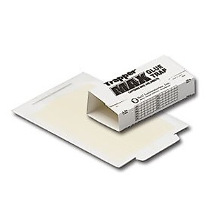 Trapper Max Mouse & Insect Glue Boards-72 Boards White