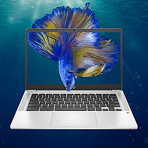 HP 2021 Newest Chromebook 14 Inch FHD 1080P Laptop with Webcam, Intel Celeron N4000 up to 2.6 GHz, 4GB RAM, 64GB eMMC, Webcam, WiFi 5, Chrome OS + NexiGo 32GB MicroSD Card Bundle