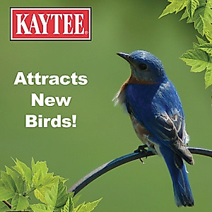 Kaytee Wild Bird Food Basic Blend, 10 lb