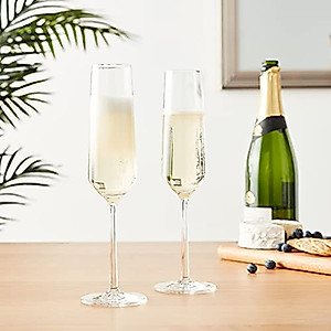 Schott Zwiesel Tritan Crystal Glass Pure Stemware Collection Champagne Flute with Effervescence Points, 7.3-Ounce, Set of 2