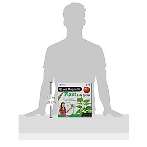 Learning Resources Giant Magnetic Plant Life Cycle - 12 Pieces, Science Exploration Activities for Kids, Homeschool and Classroom Science Supplies